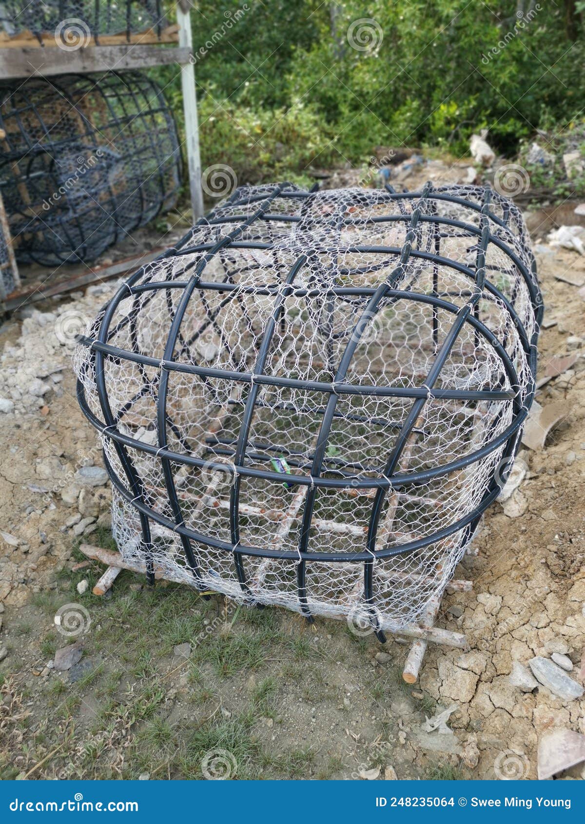 Outdoor Scene of the DIY Fish Trap Structure Make from Mangrove Wood ...