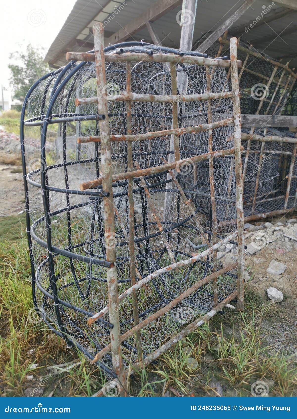 Outdoor Scene of the DIY Fish Trap Structure Make from Mangrove Wood ...