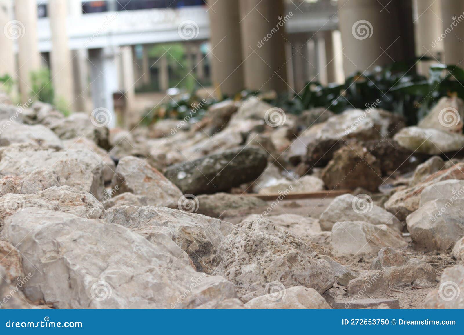Outdoor Scene Featuring an Array of Assorted Shaped Rocks Scattered ...