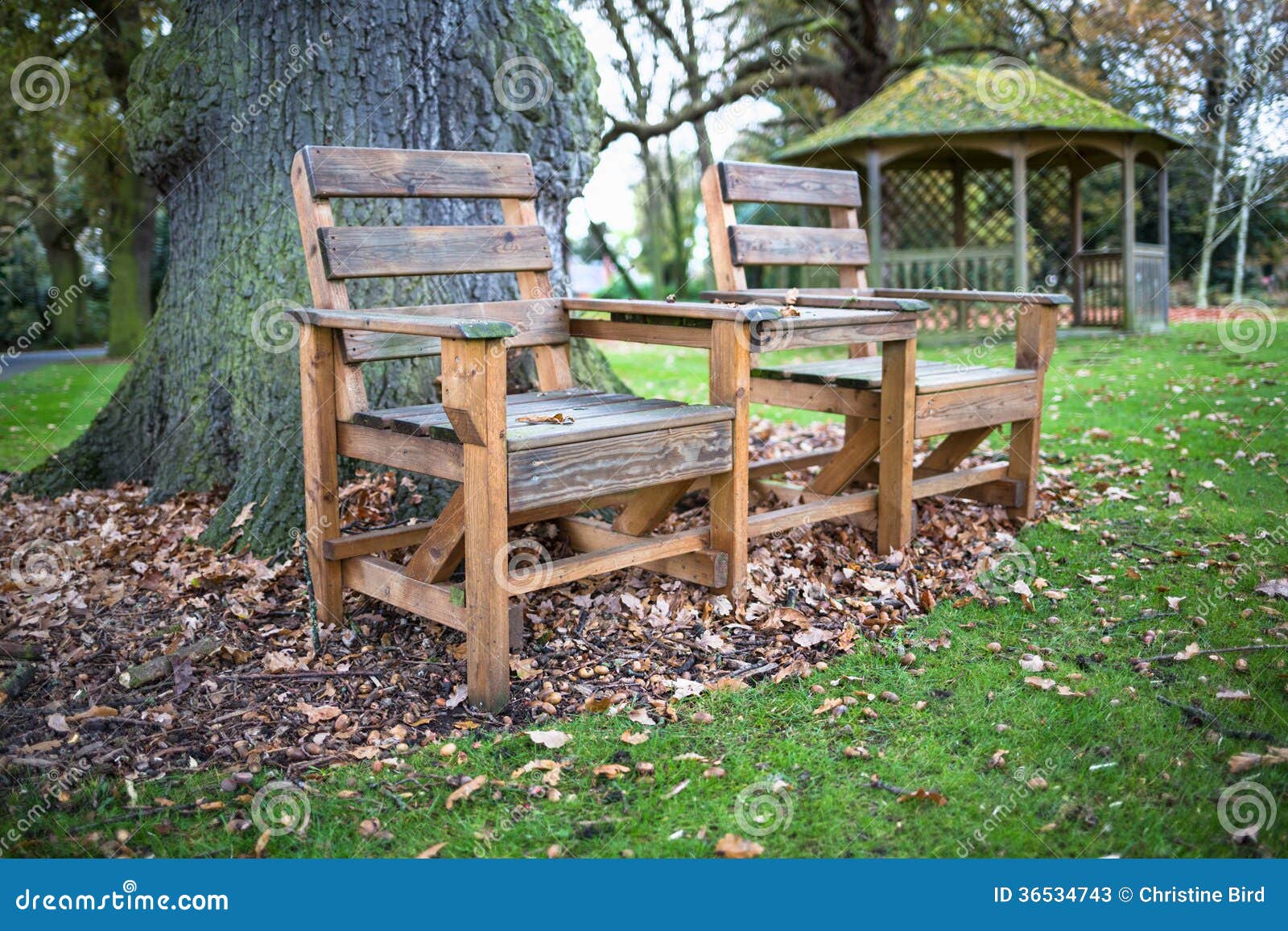 Outdoor seating stock image. Image of wood, chair, tree - 36534743
