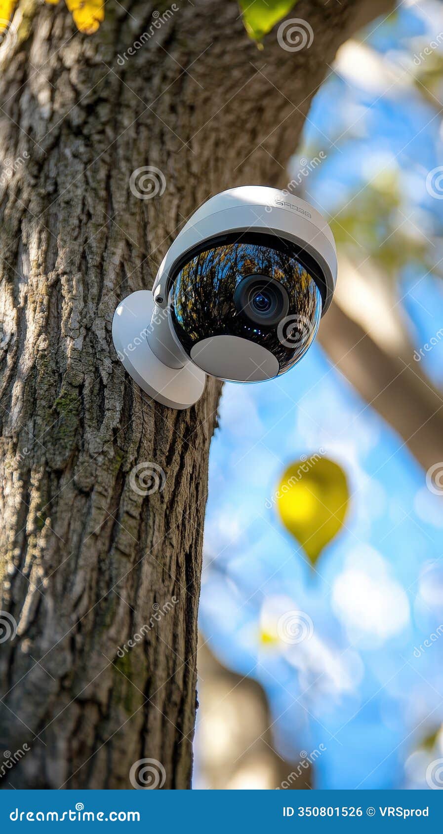 Outdoor Security Camera Mounted on a Tree Trunk Stock Photo - Image of ...