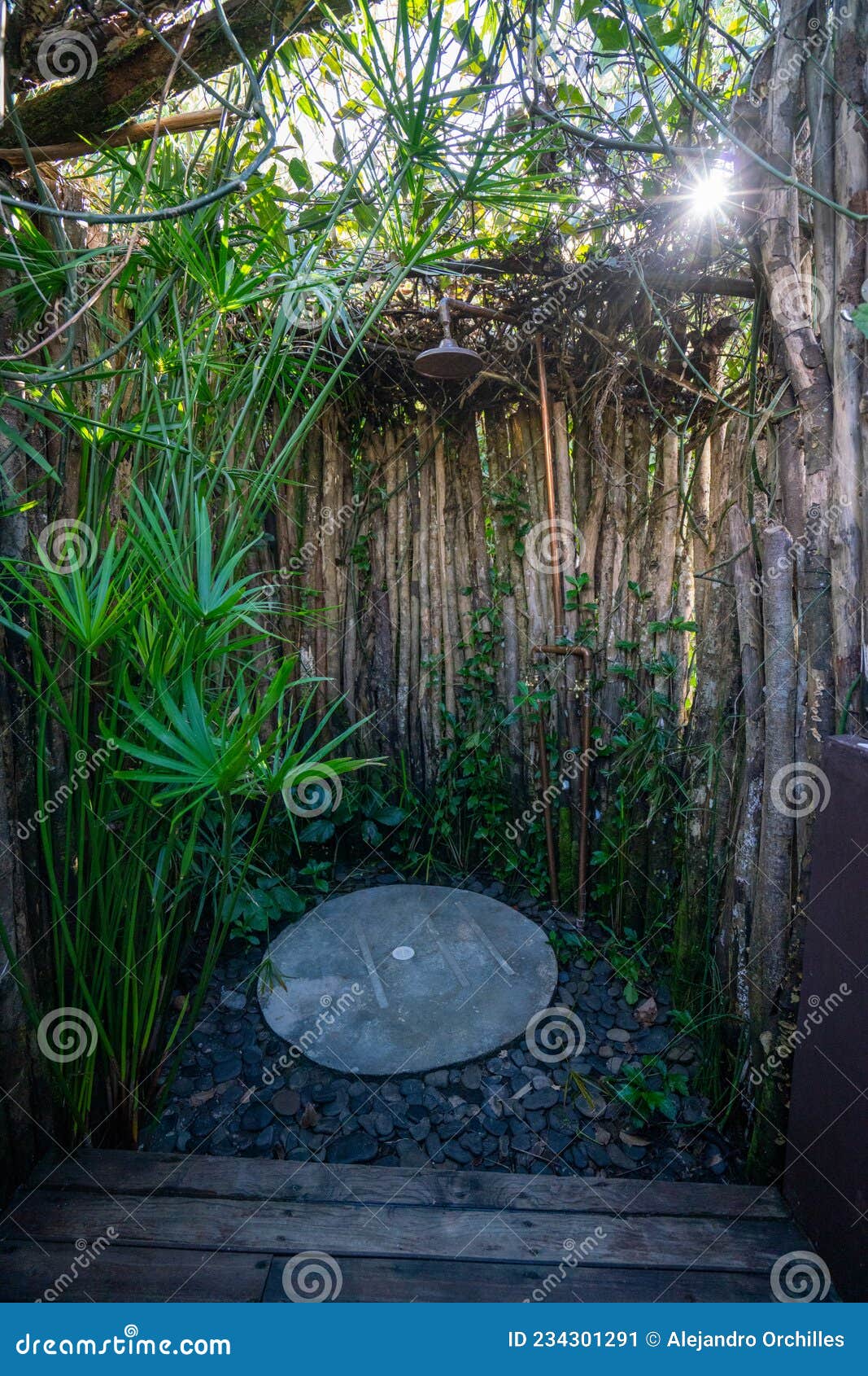 Outdoor Shower in Nature Reserve Surrounded by Trees and Bamboo Stock ...