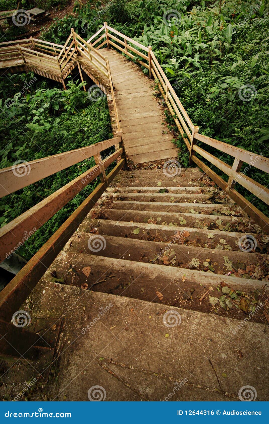 Outdoor Stairs Path stock photo. Image of landscape, direction - 12644316