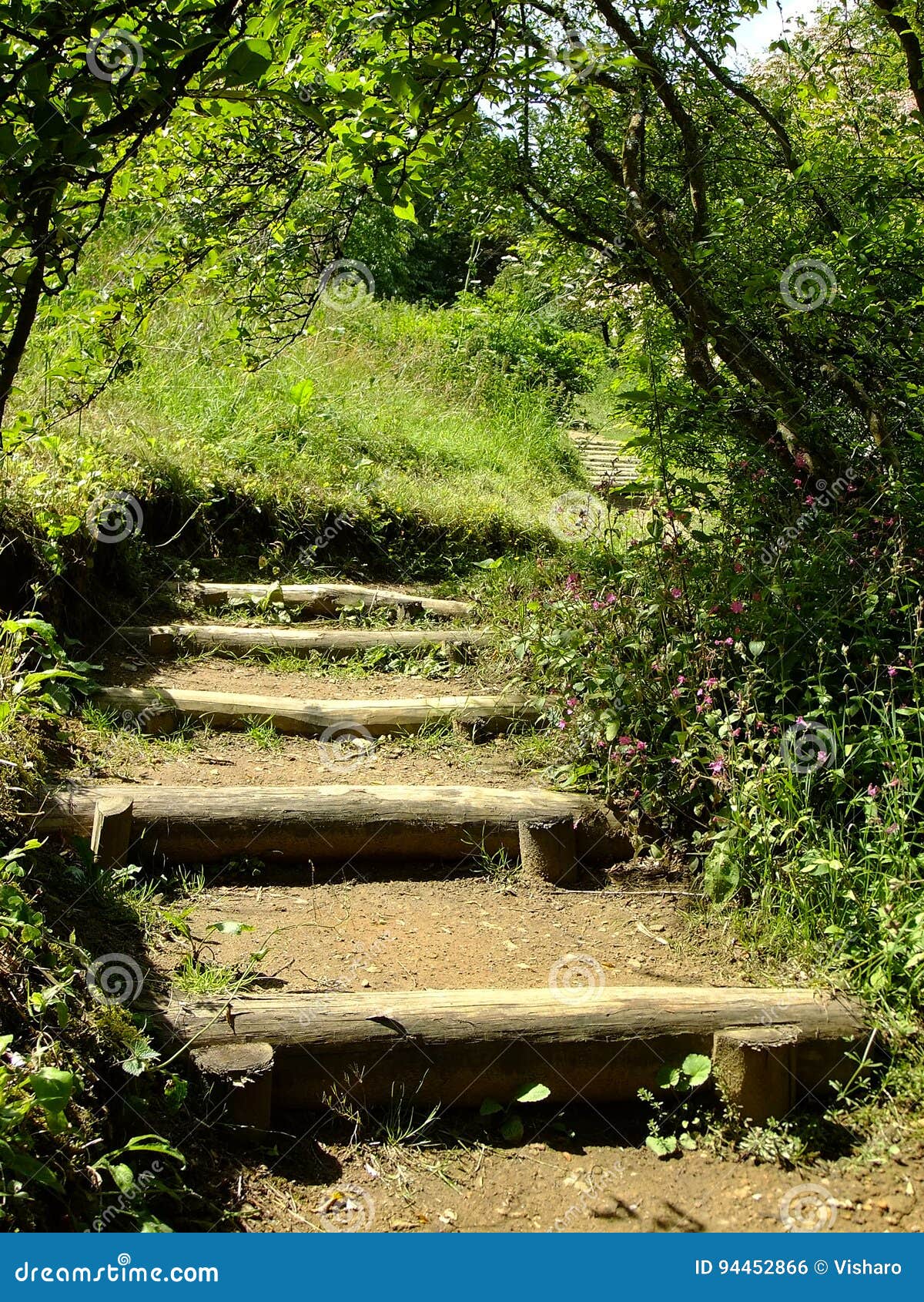 Outdoor Steps stock photo. Image of steps, nature, britain - 94452866