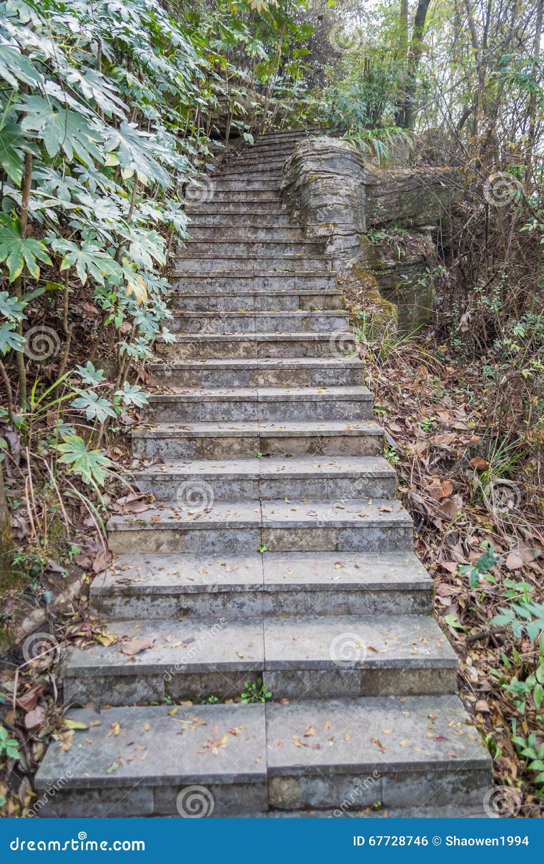 Outdoor Stone Stairs stock photo. Image of staris, outdoor - 67728746
