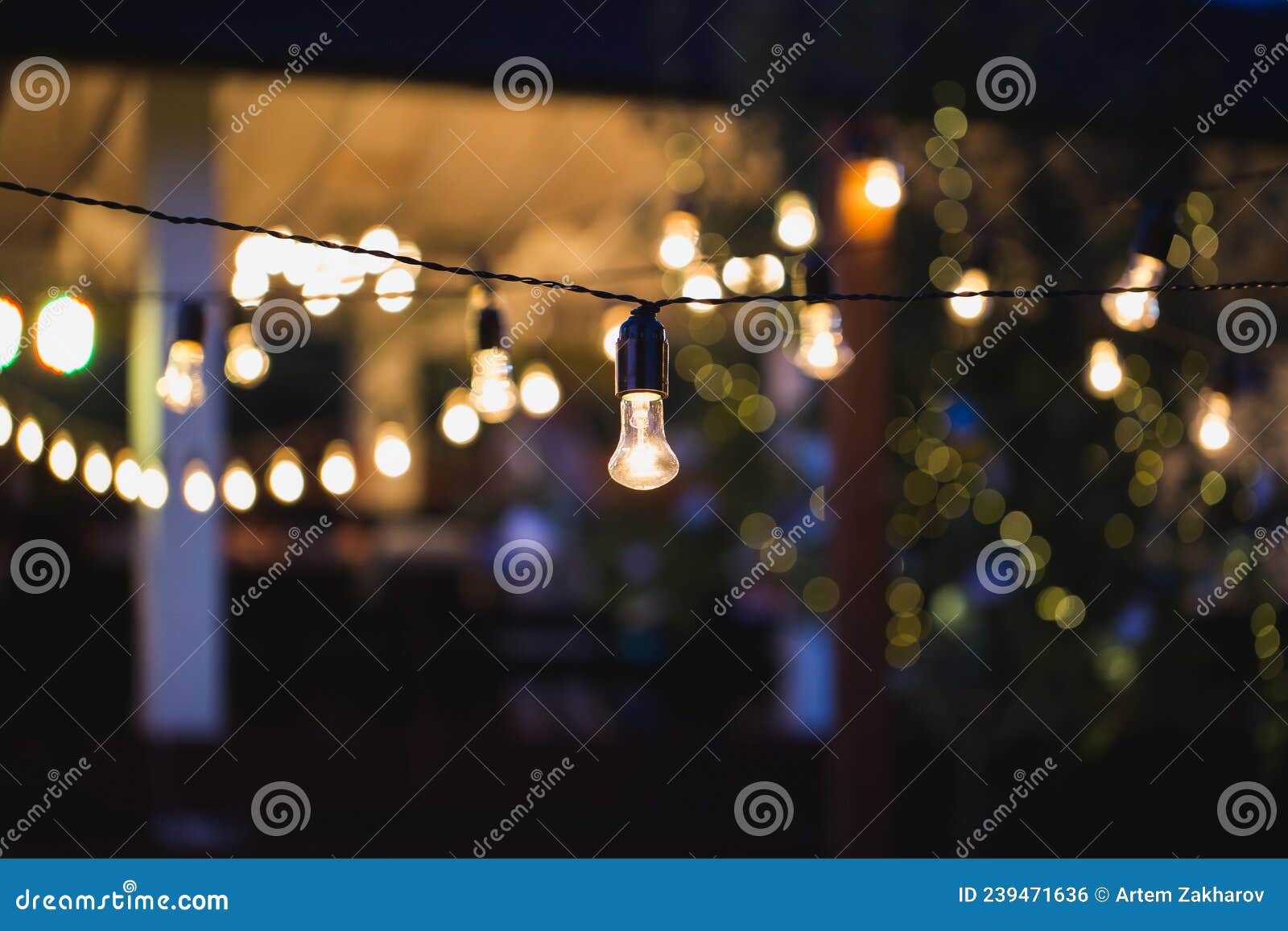 Outdoor String Lights Hanging on a Line in Backyard. Stock Photo ...