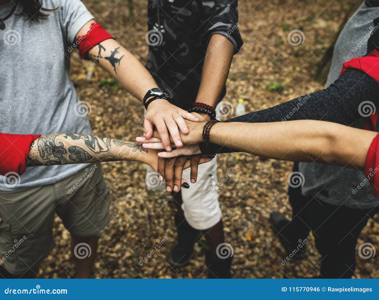 Outdoor Team Orienteering Activity Teamwork Stock Photo - Image of ...