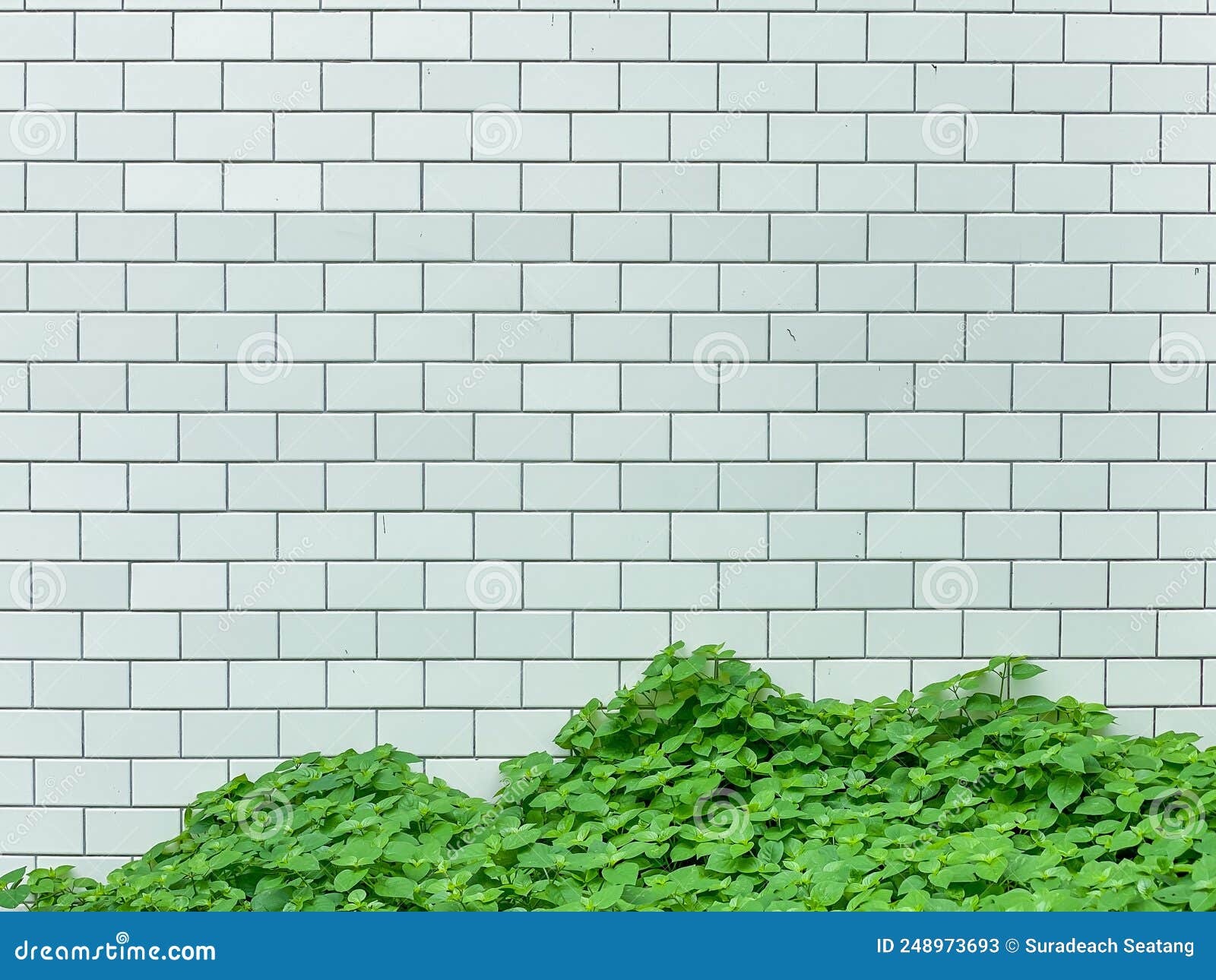 Outdoor Tile Wall with the Tree As the Background Stock Image - Image ...