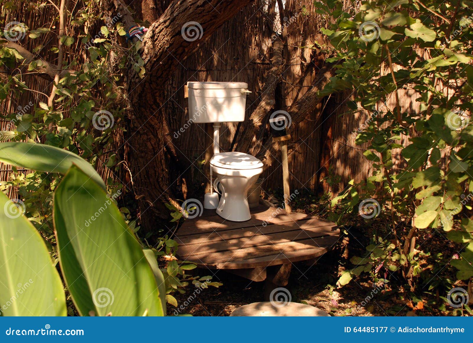Outdoor toilet stock image. Image of humourous, tree - 64485177