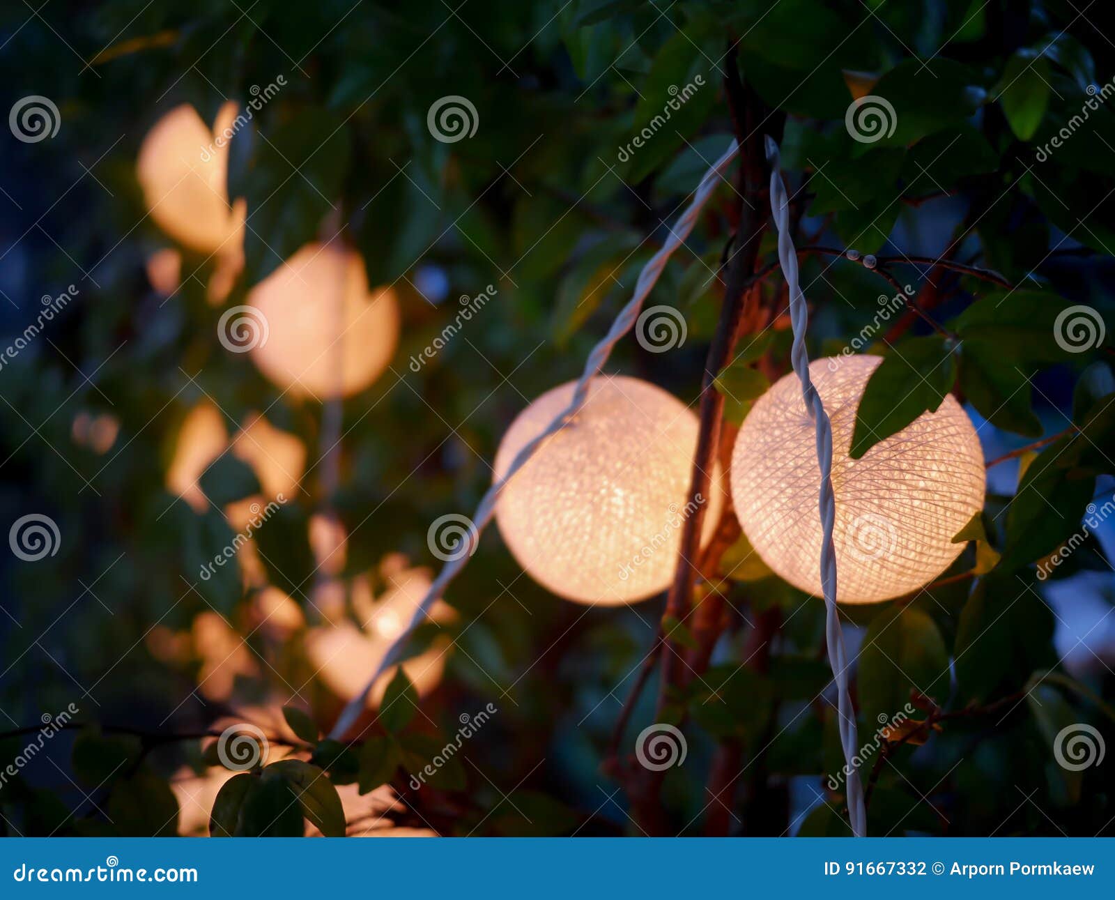 Outdoor Tree with Decorated Circular Lights, Lamp Light Stock Photo ...