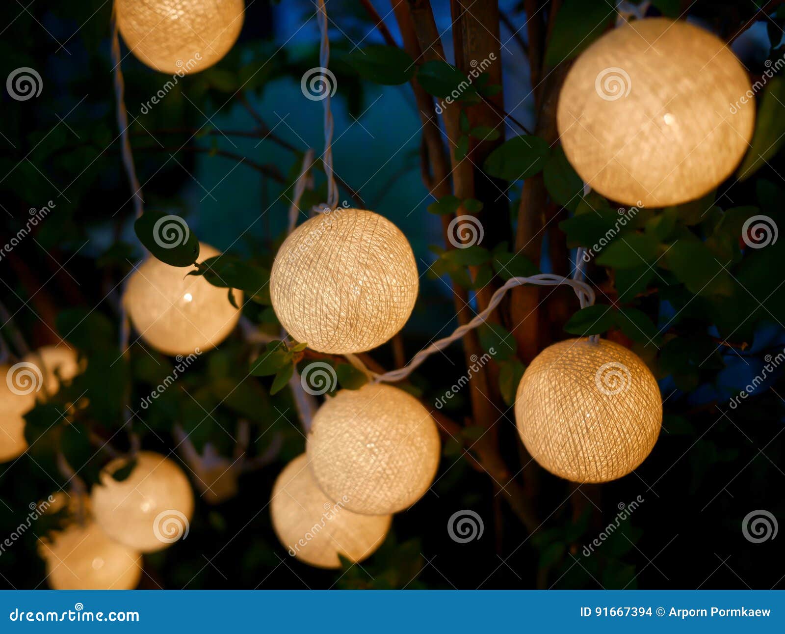 Outdoor Tree with Decorated Circular Lights, Lamp Light Stock Photo ...