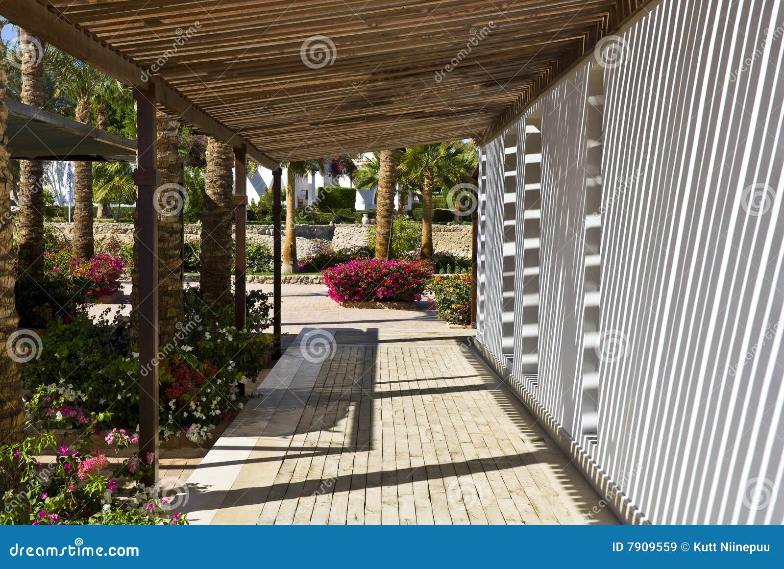 Outdoor walkway at hotel stock image. Image of hotel, plants - 7909559