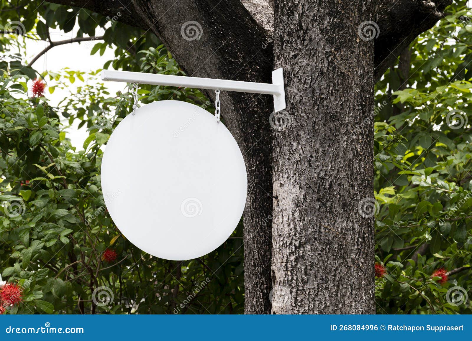 Outdoor White Circle Sign on Tree Stock Photo - Image of green, mock ...