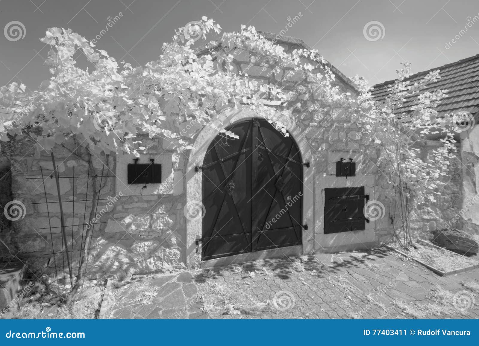 Outdoor Wine Cellar, Austria Stock Image - Image of outdoor, front ...