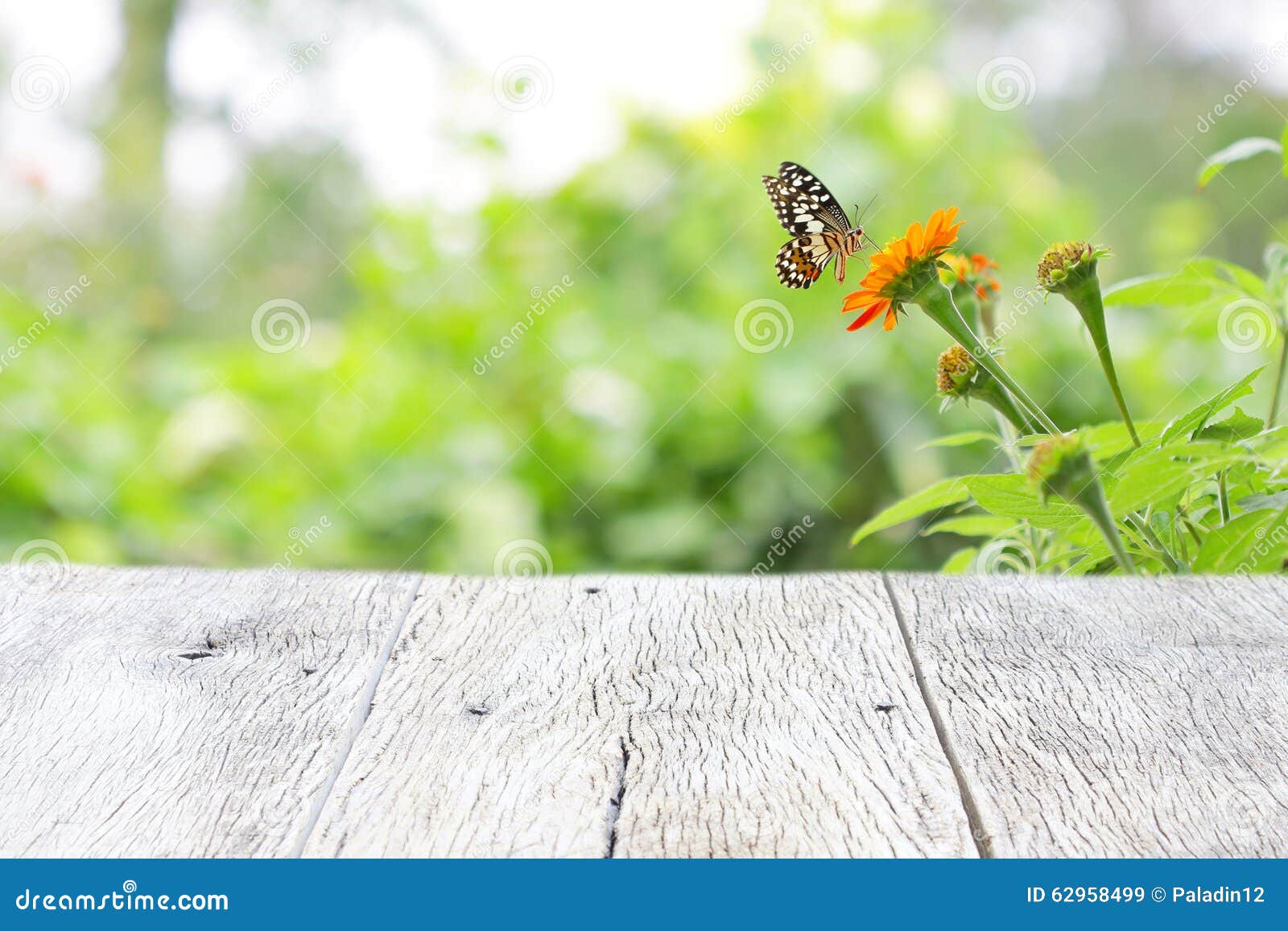 Outdoor Wooden table view stock image. Image of light - 62958499