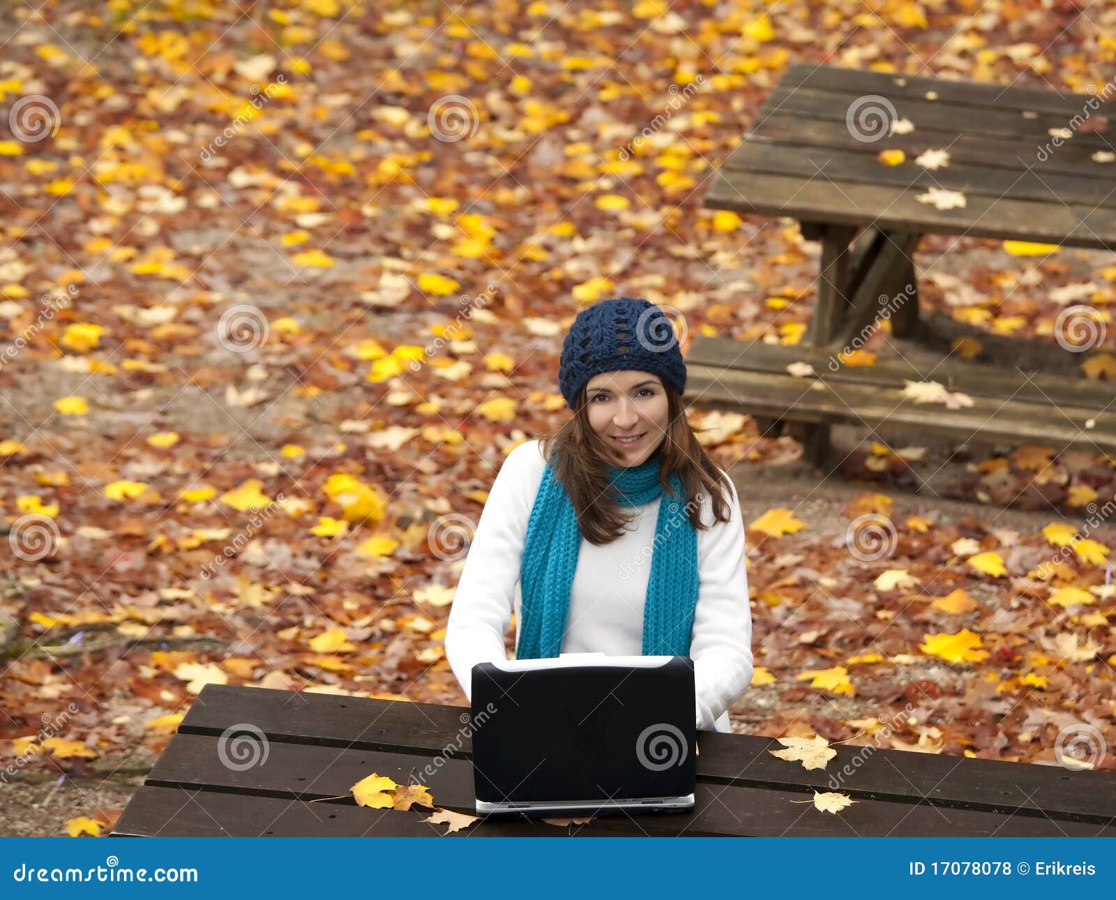 Outdoor work stock photo. Image of adult, brunette, october - 17078078