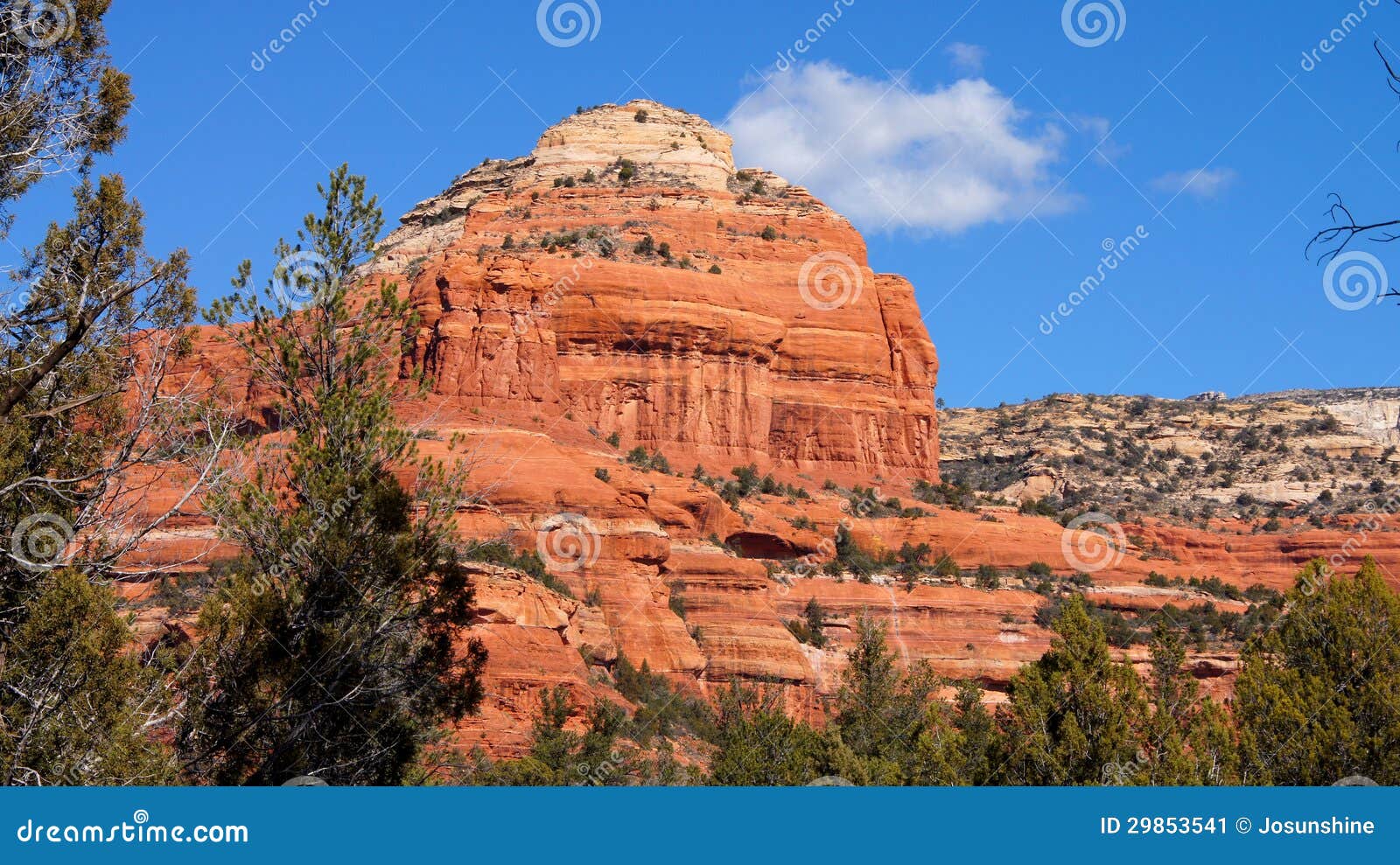 Arizona Mountain Scenery with Tree Stock Image - Image of outdoors ...