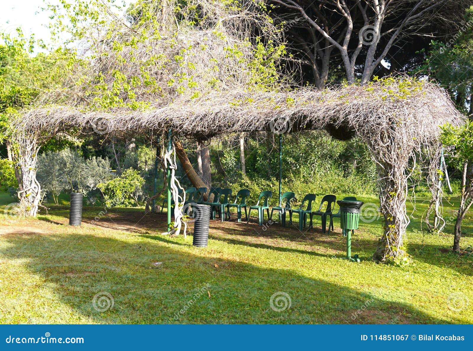 Outdoors Class for Activities and Chairs Under the Trees Stock Image ...