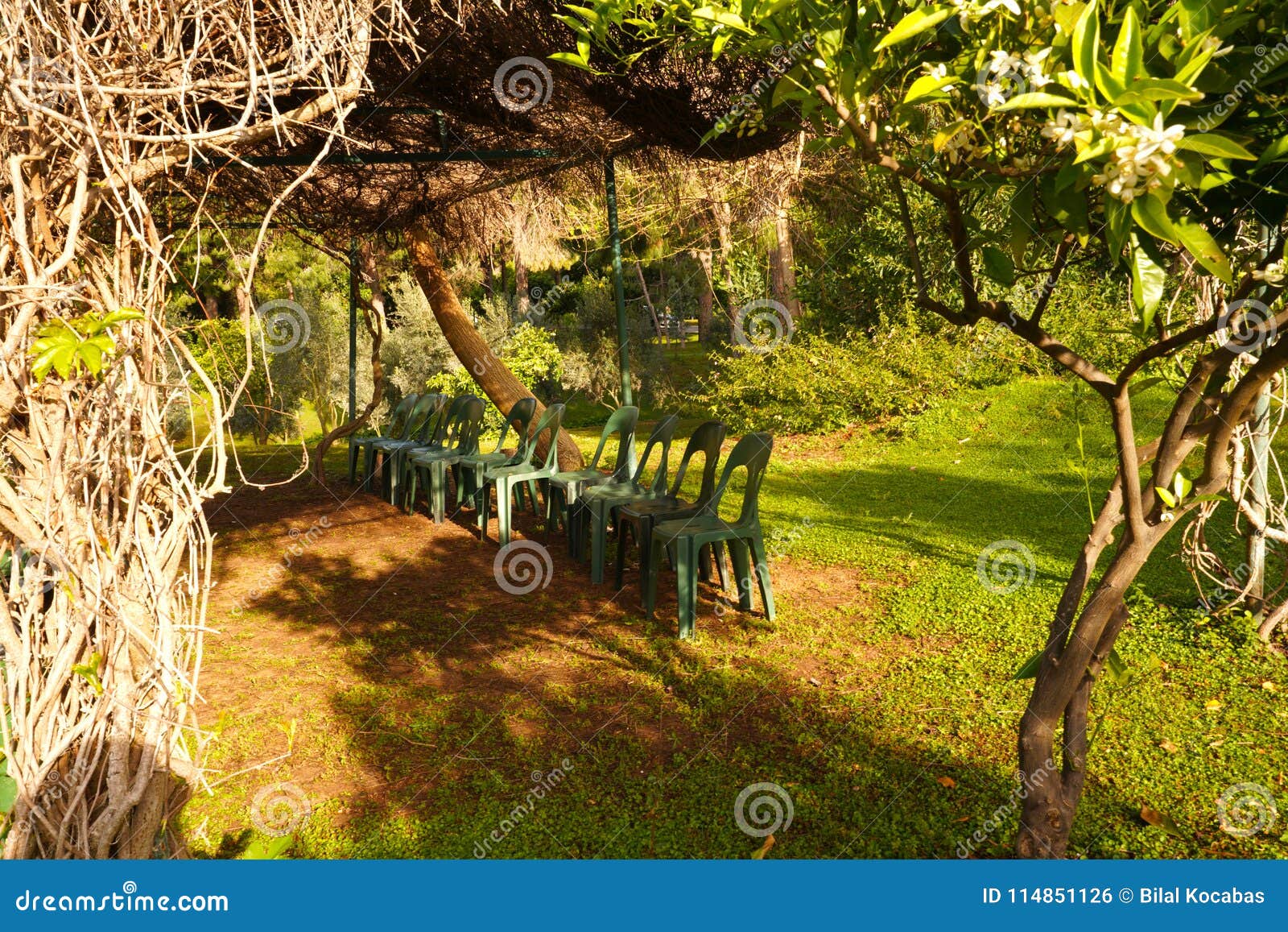 Outdoors Class for Activities and Chairs Under the Trees Stock Photo ...