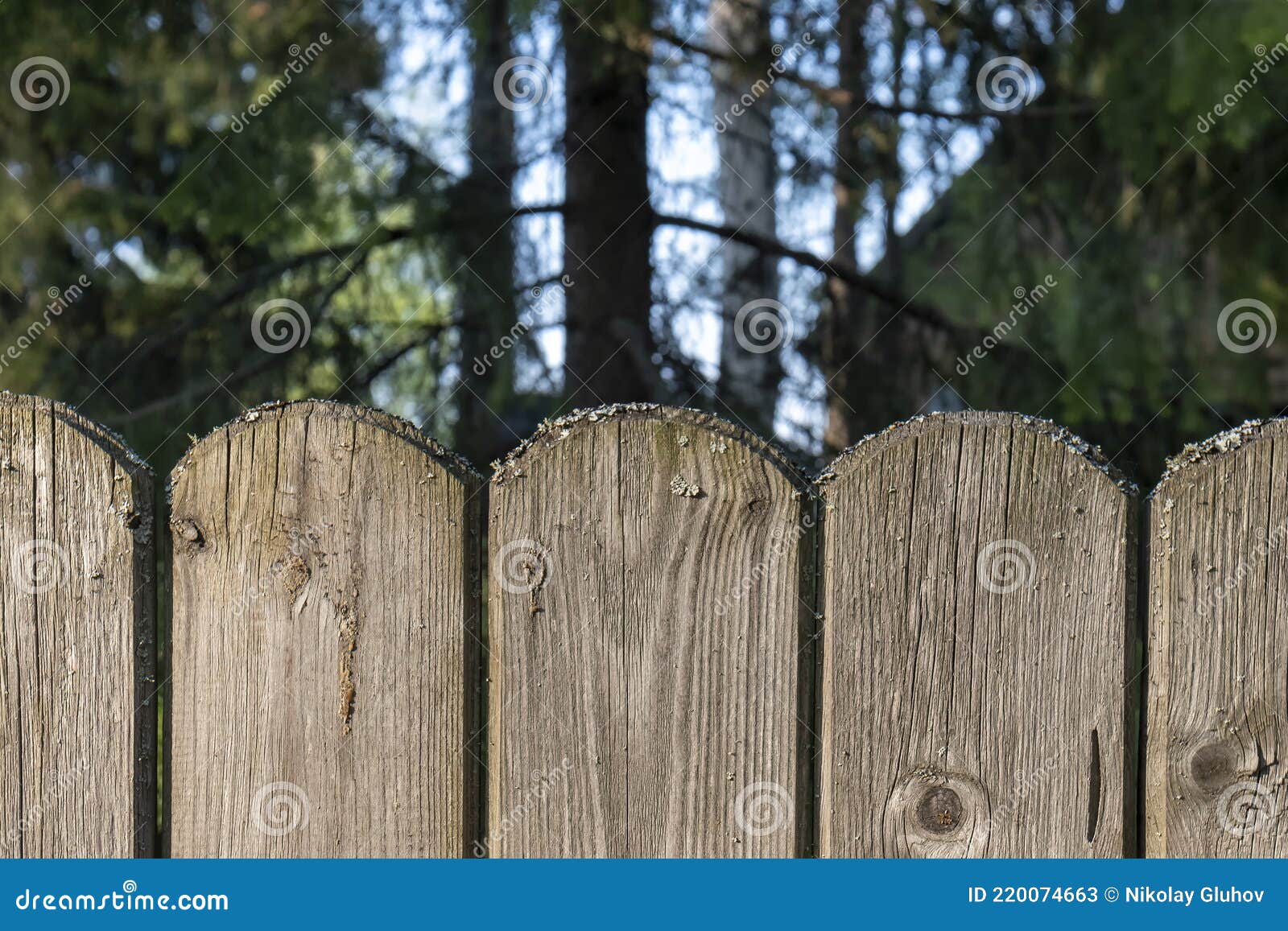 A Wooden Fence with Planks Rounded on Top. Outdoors of Day. Front View ...