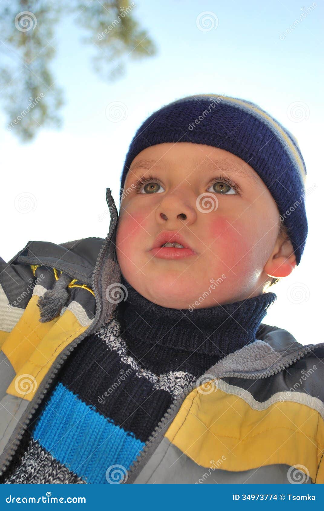 Outdoors Portrait of a Handsome Serious Child. Stock Photo - Image of ...