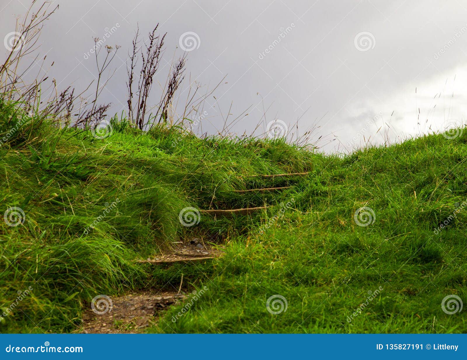 Outdoors Step Up Grassy Hillside Stock Image - Image of trail, outside ...