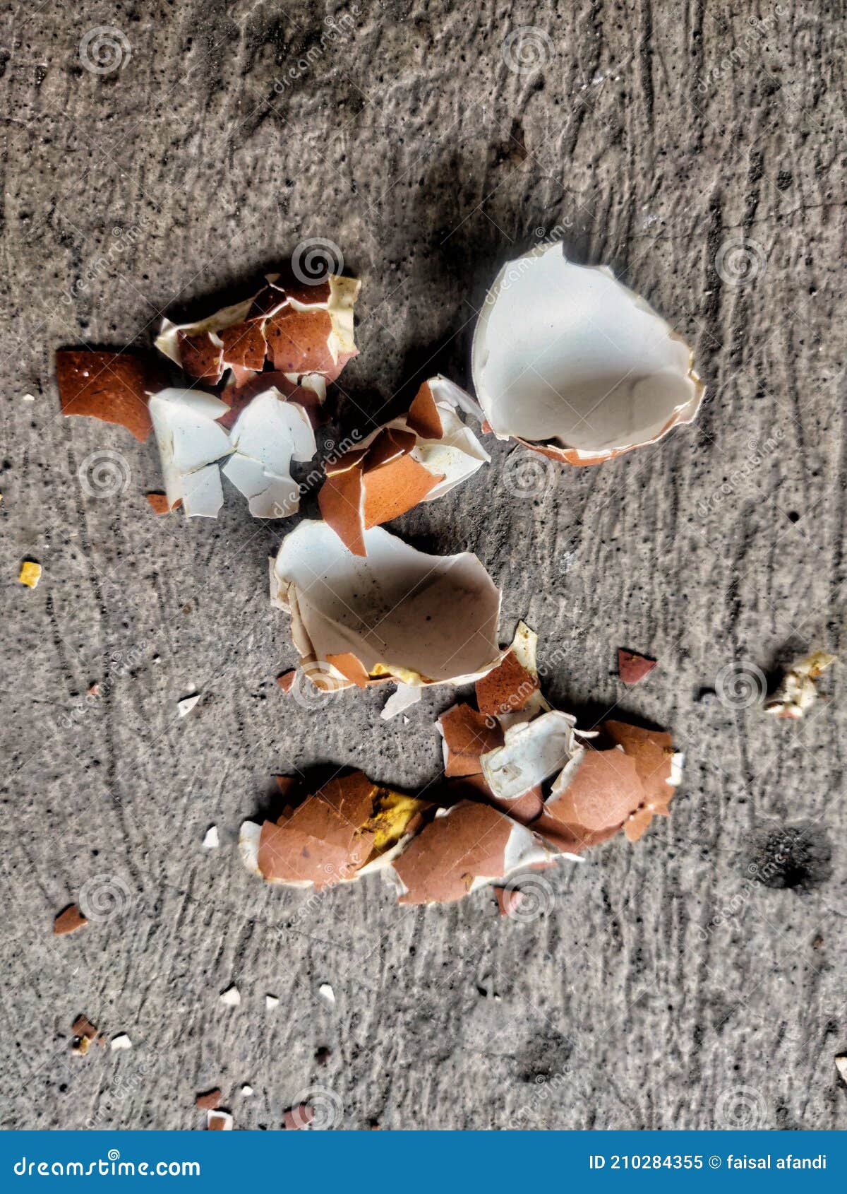 Wasted Egg Shell Stock Photos - Free & Royalty-Free Stock Photos from ...