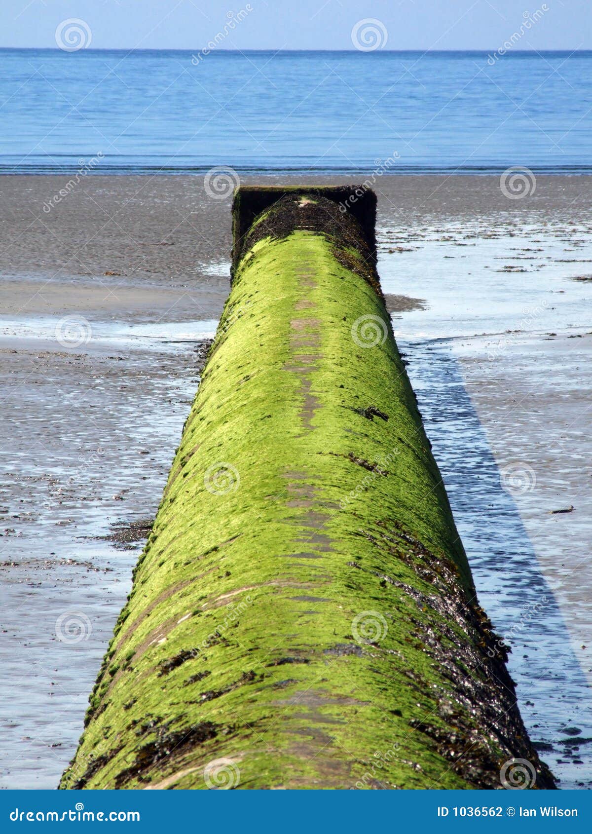 Outfall Pipe stock photo. Image of clean, coast, waste - 1036562