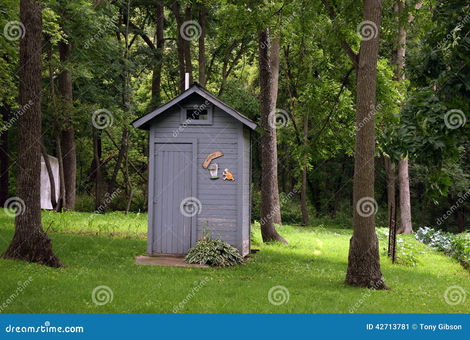 Outhouse stock image. Image of door, bathroom, trees - 42713781