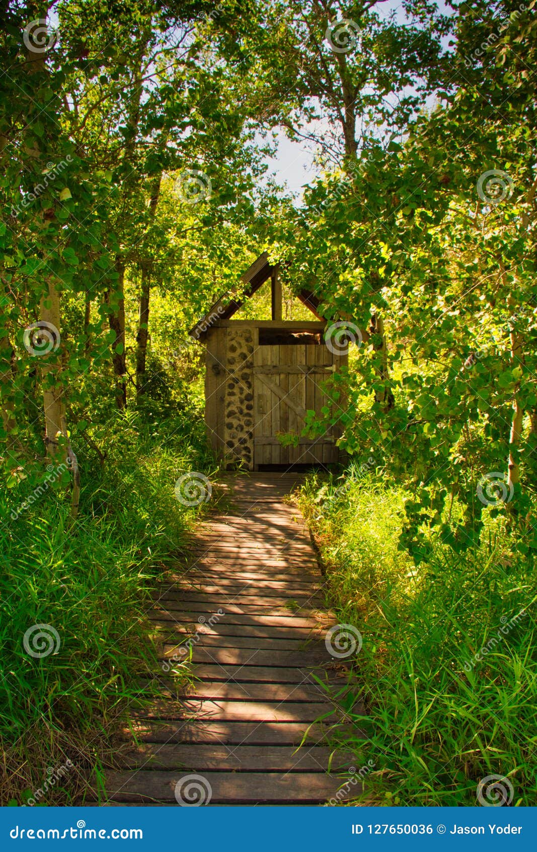 An Outhouse in a Forest stock photo. Image of trail - 127650036