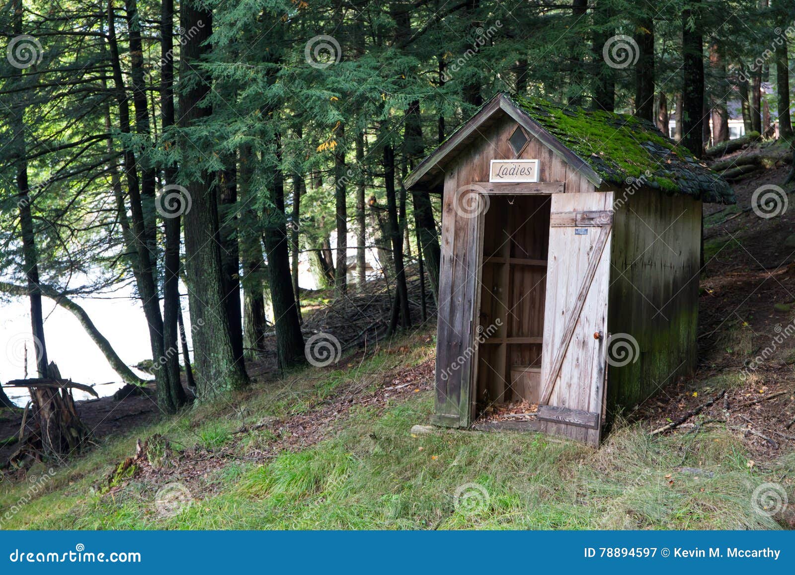 Outhouse in a Forest stock image. Image of outdoors, northwoods - 78894597