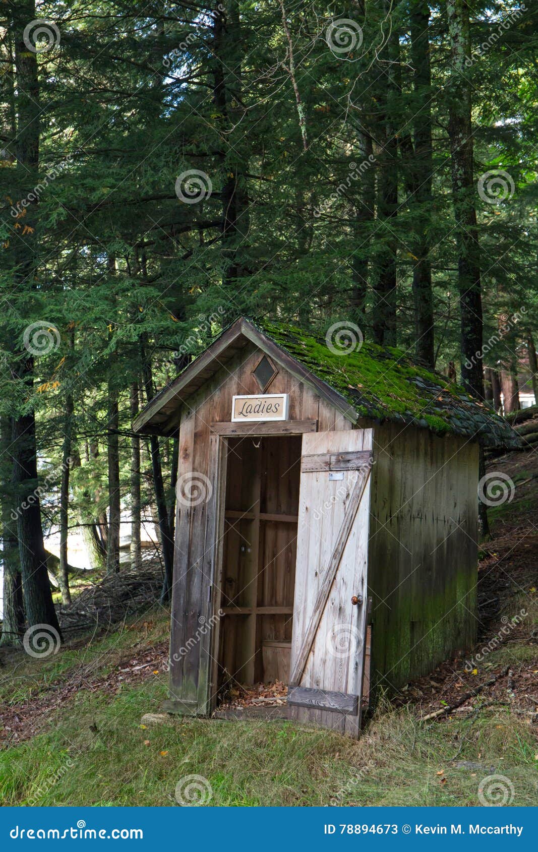 Outhouse in a Forest stock image. Image of woods, wisconsin - 78894673