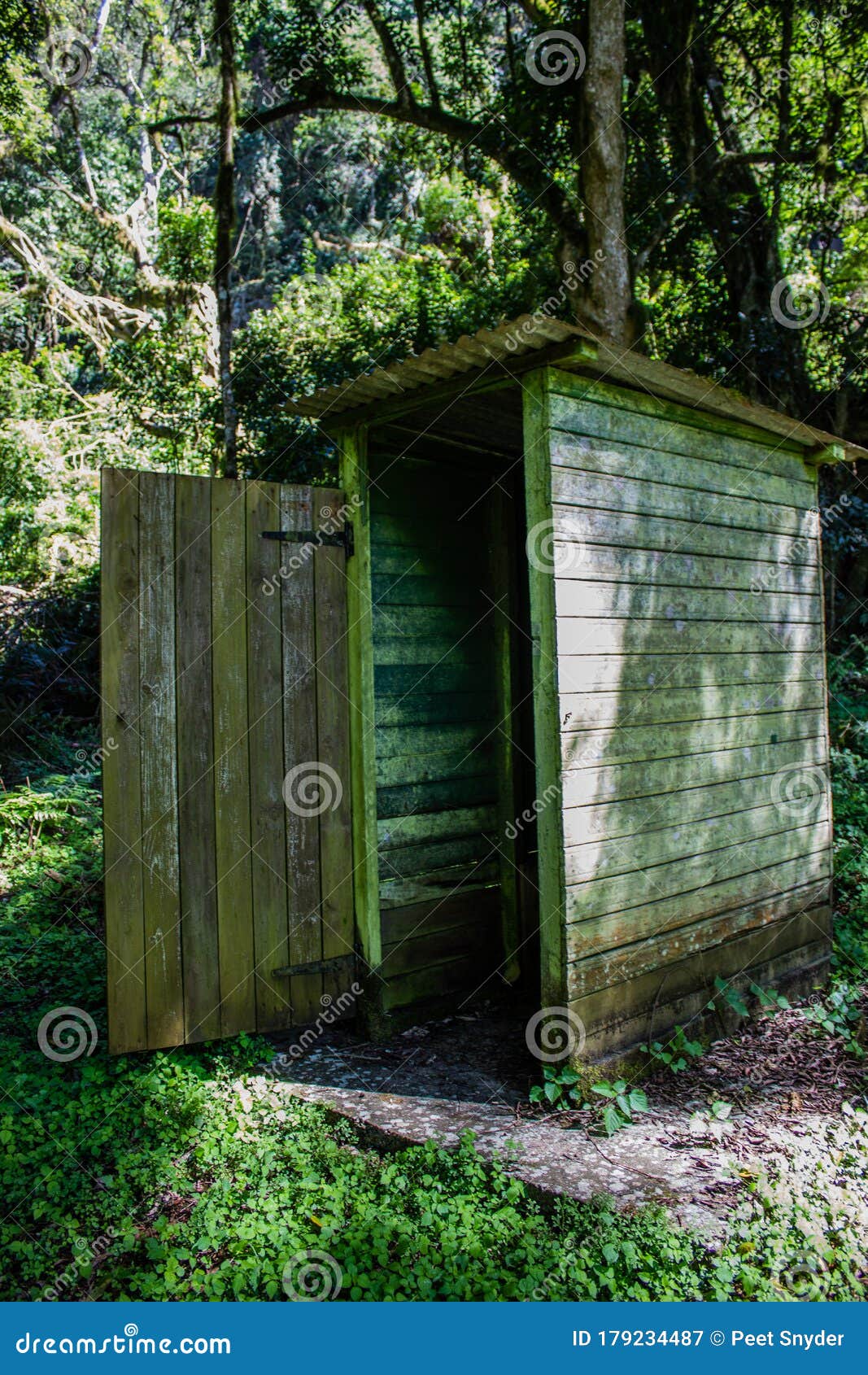 Outhouse in a forrest stock image. Image of wall, garden - 179234487