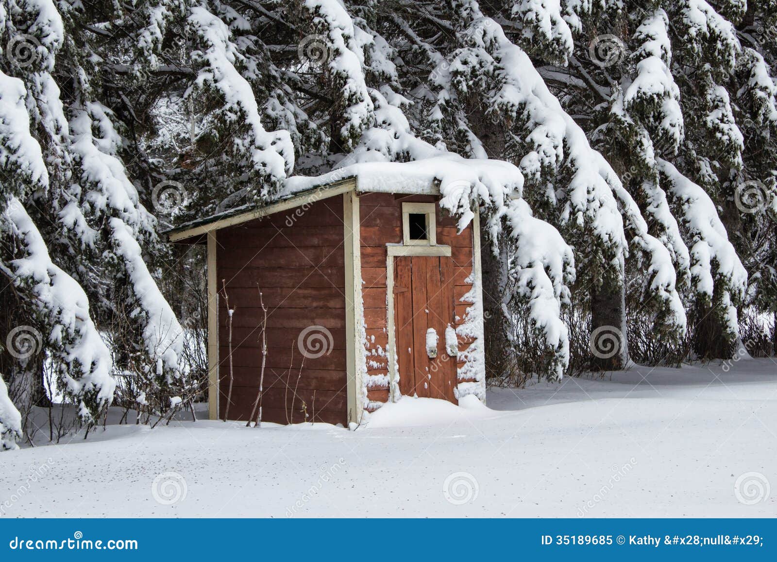 The outhouse stock image. Image of trees, winter, yellow - 35189685