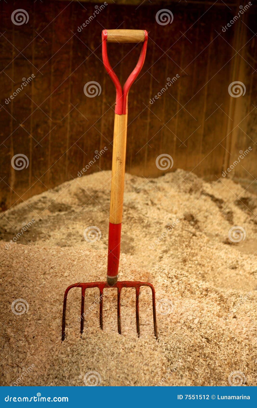 Outil Stable De Fourchette De Paille De Witth De Cheval, Sciure Photo ...