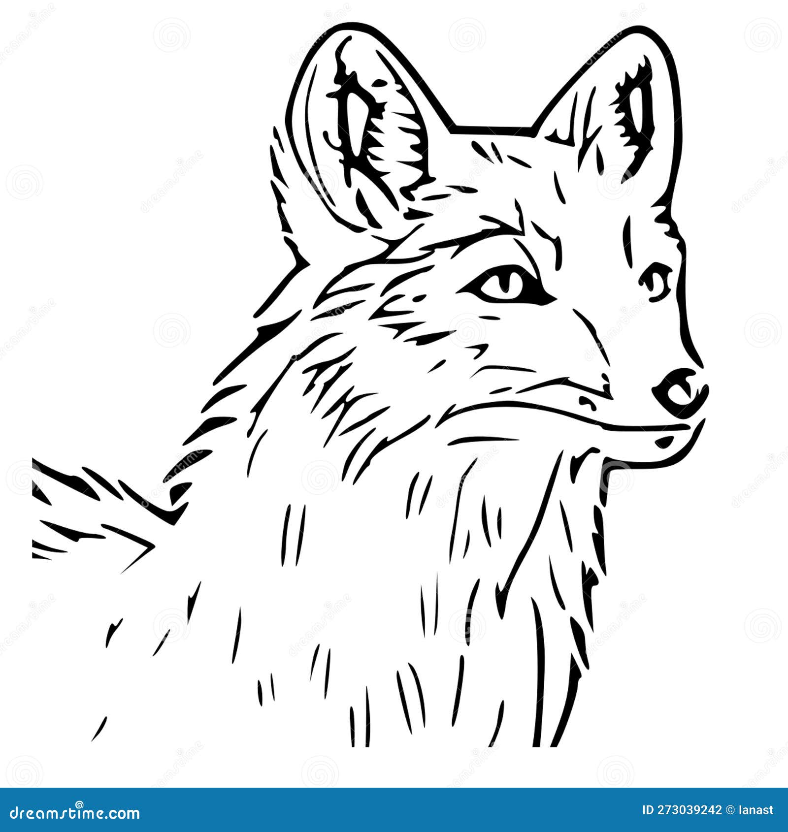Outline Arctic Fox Head Royalty-Free Cartoon | CartoonDealer.com #273039242
