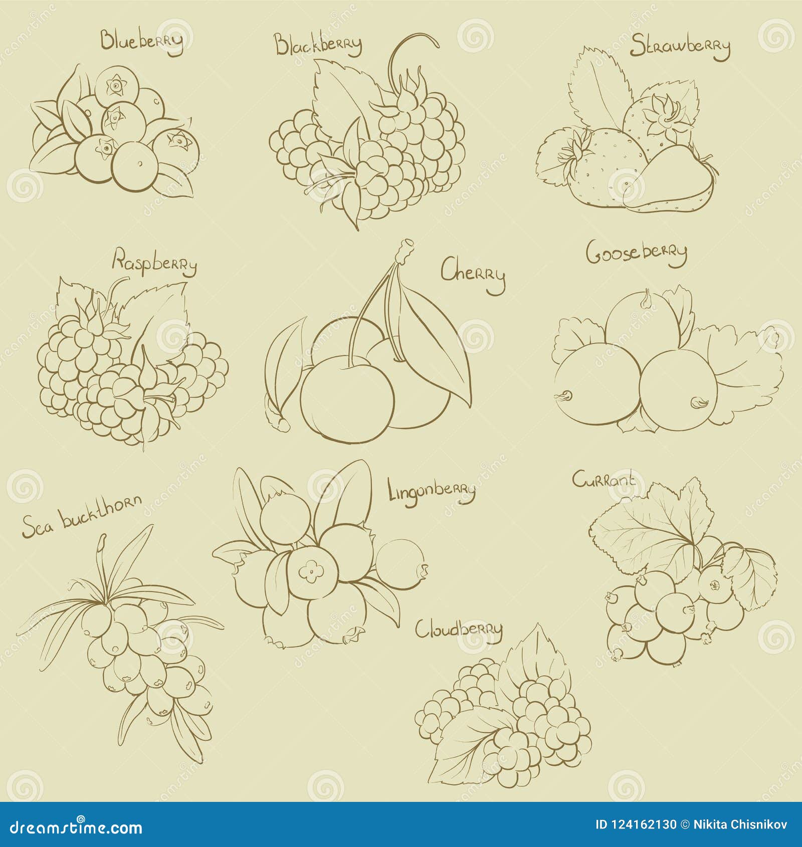 Outline berries set stock vector. Illustration of delicious - 124162130