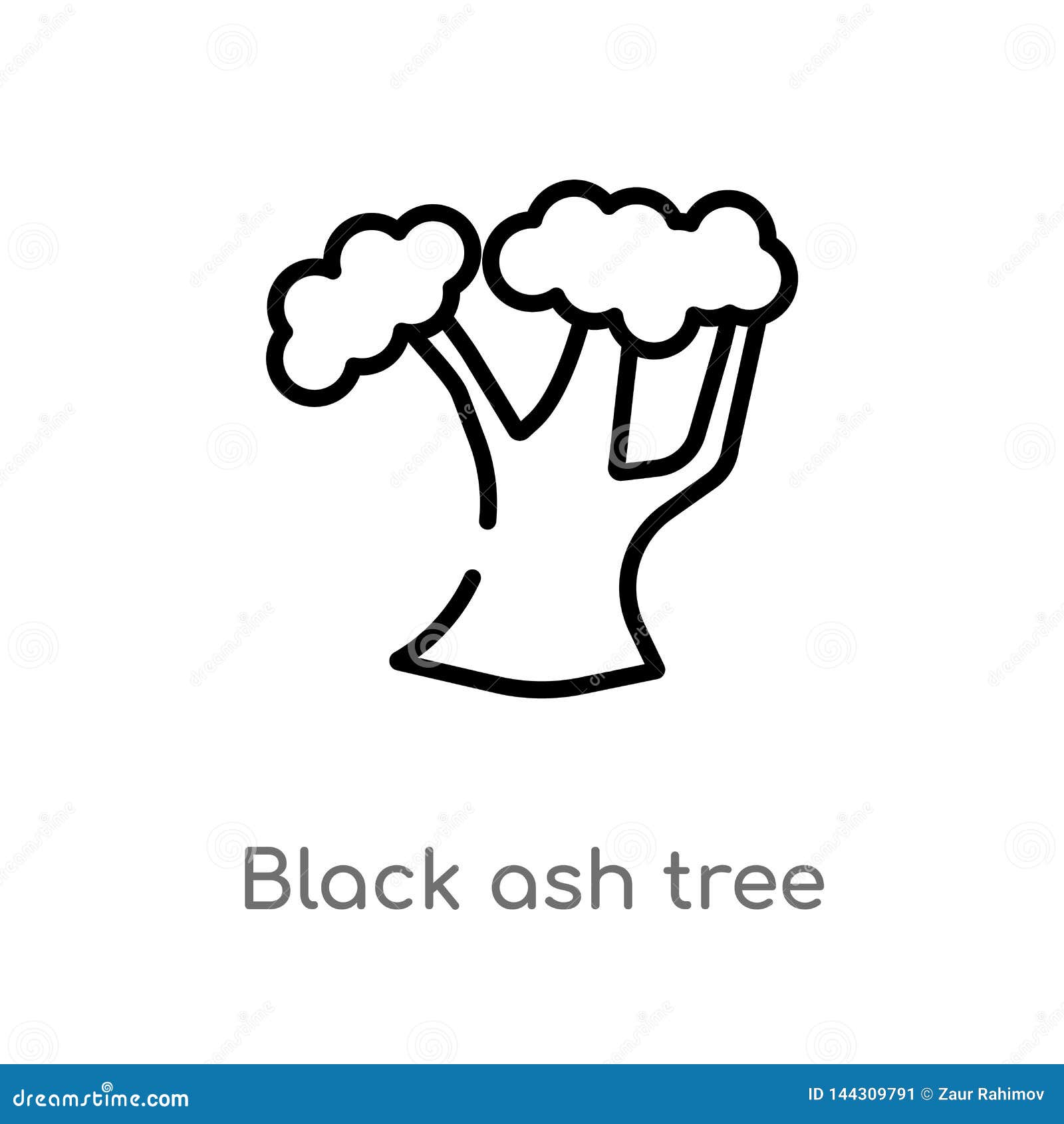 Outline Black Ash Tree Vector Icon. Isolated Black Simple Line Element ...
