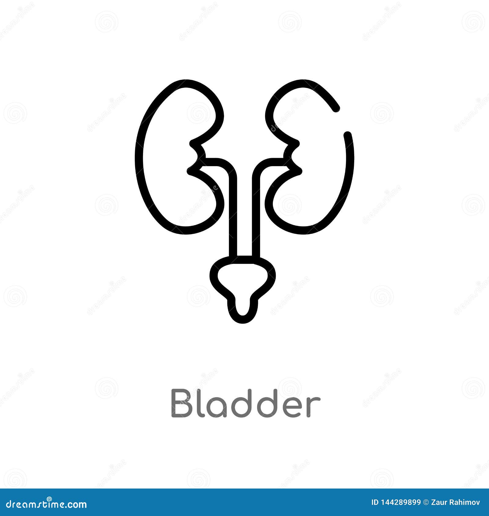 Outline Bladder Vector Icon. Isolated Black Simple Line Element ...