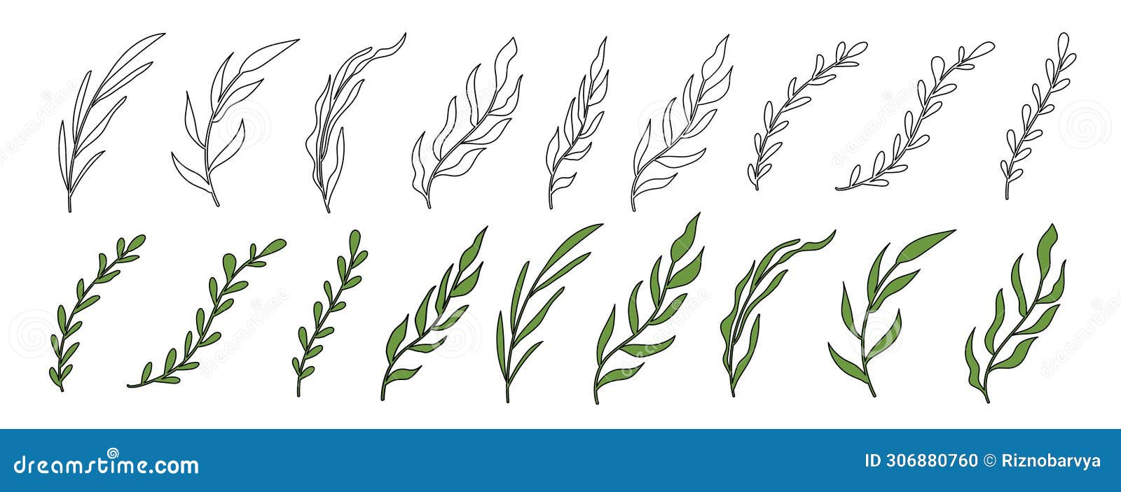 Outline Branches with Leaves. Contour Leaf with Color and Empty Stock ...