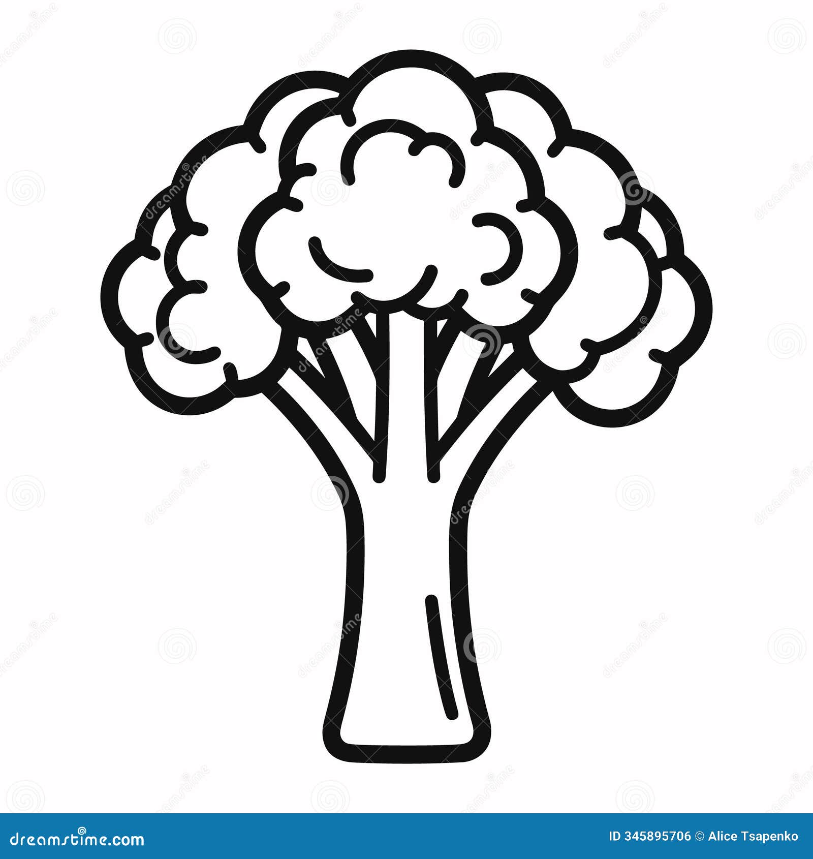 Outline Broccoli Black Icon Isolated on White Background. Simple Vector ...