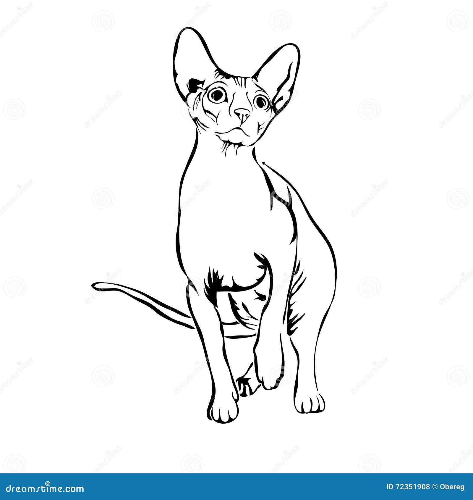 Outline Cat Sphynx Vector Illustration. | CartoonDealer.com #72352790