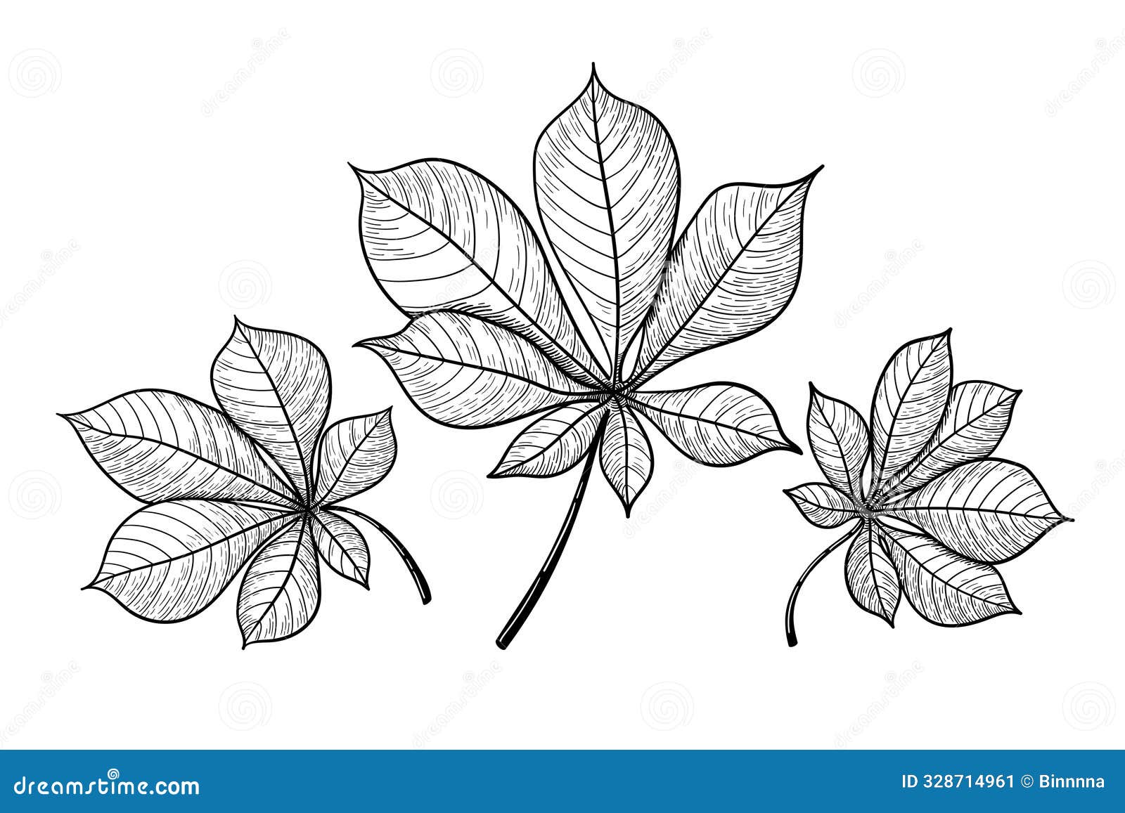 Outline Chestnut Leaves. Realistic Vector Illustration Stock Vector ...