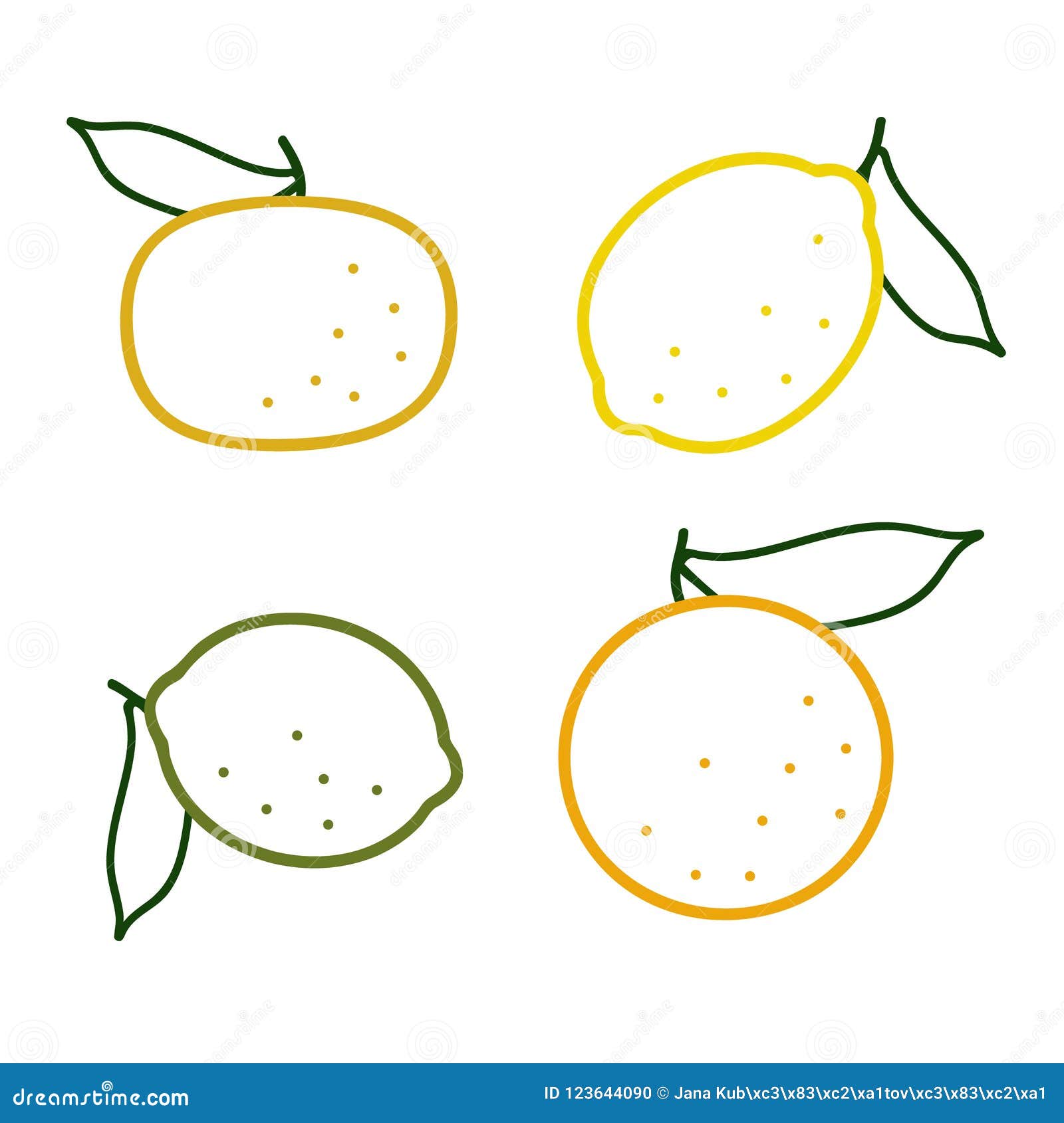 Outline citrus fruit stock vector. Illustration of citrus - 123644090