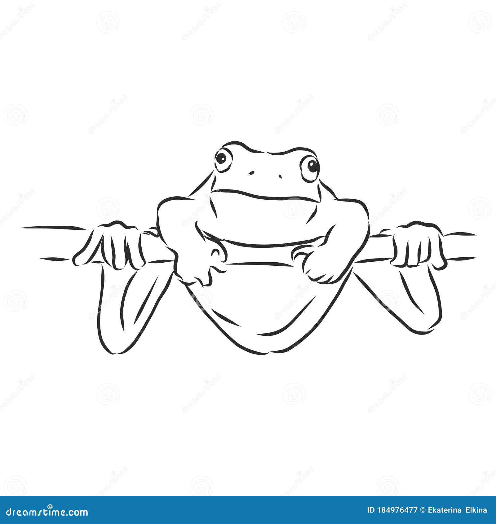 Frog Drawing Outline