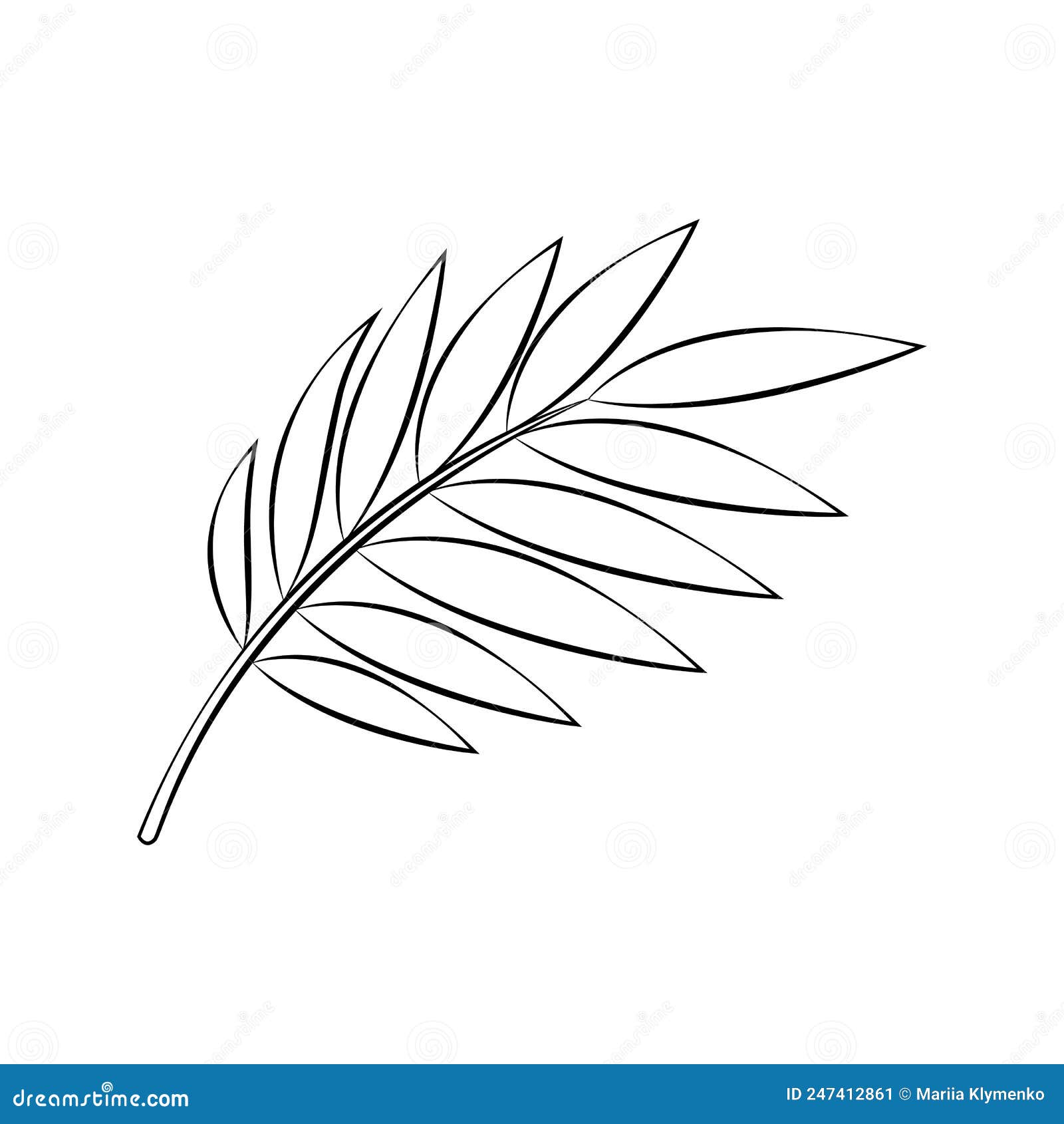 Outline Drawing of Palm Branch with Leaves Stock Vector - Illustration ...