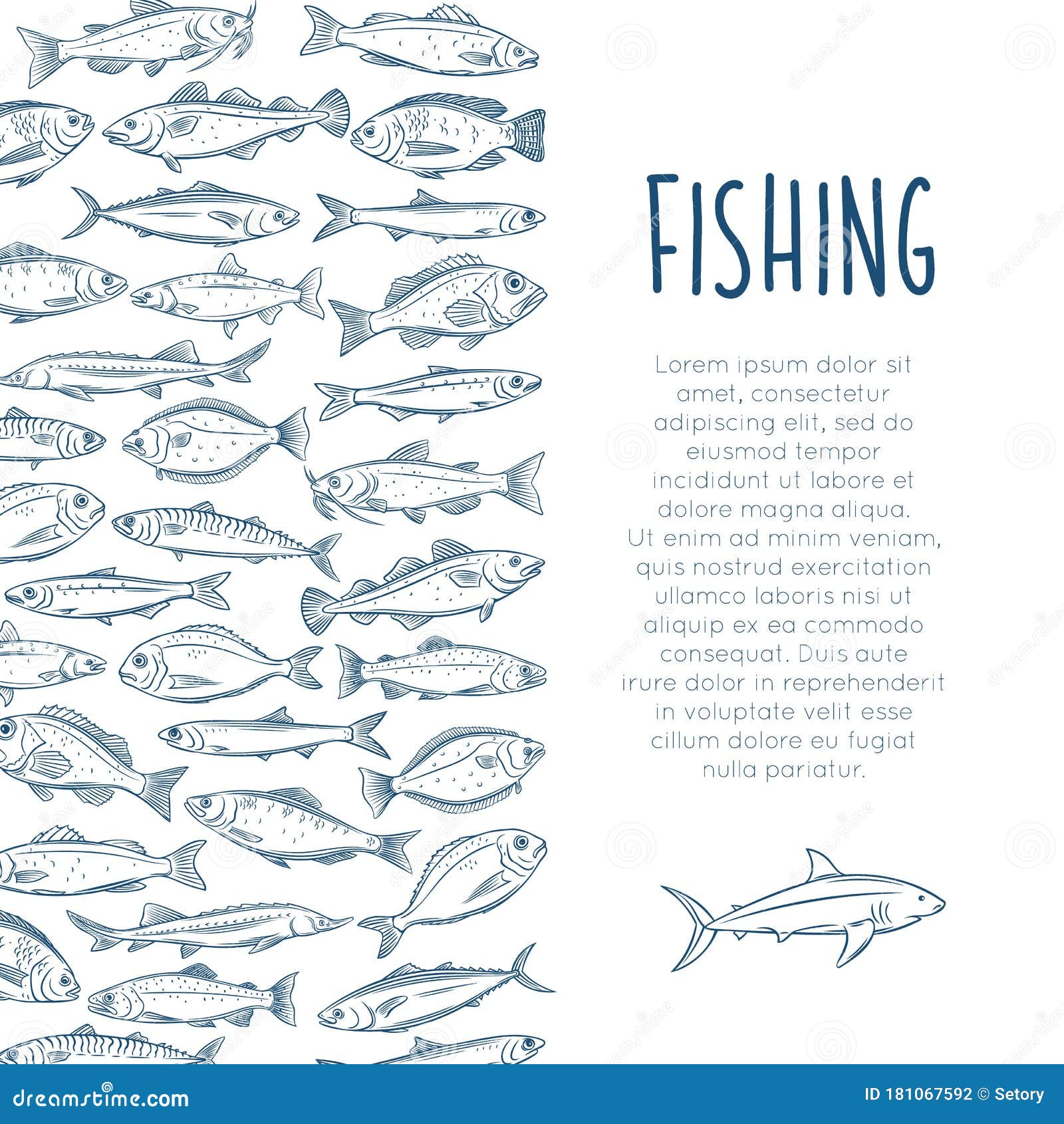 Outline fish layout stock vector. Illustration of monochrome - 181067592 Outline fish layout stock vector. Illustration of monochrome - 181067592