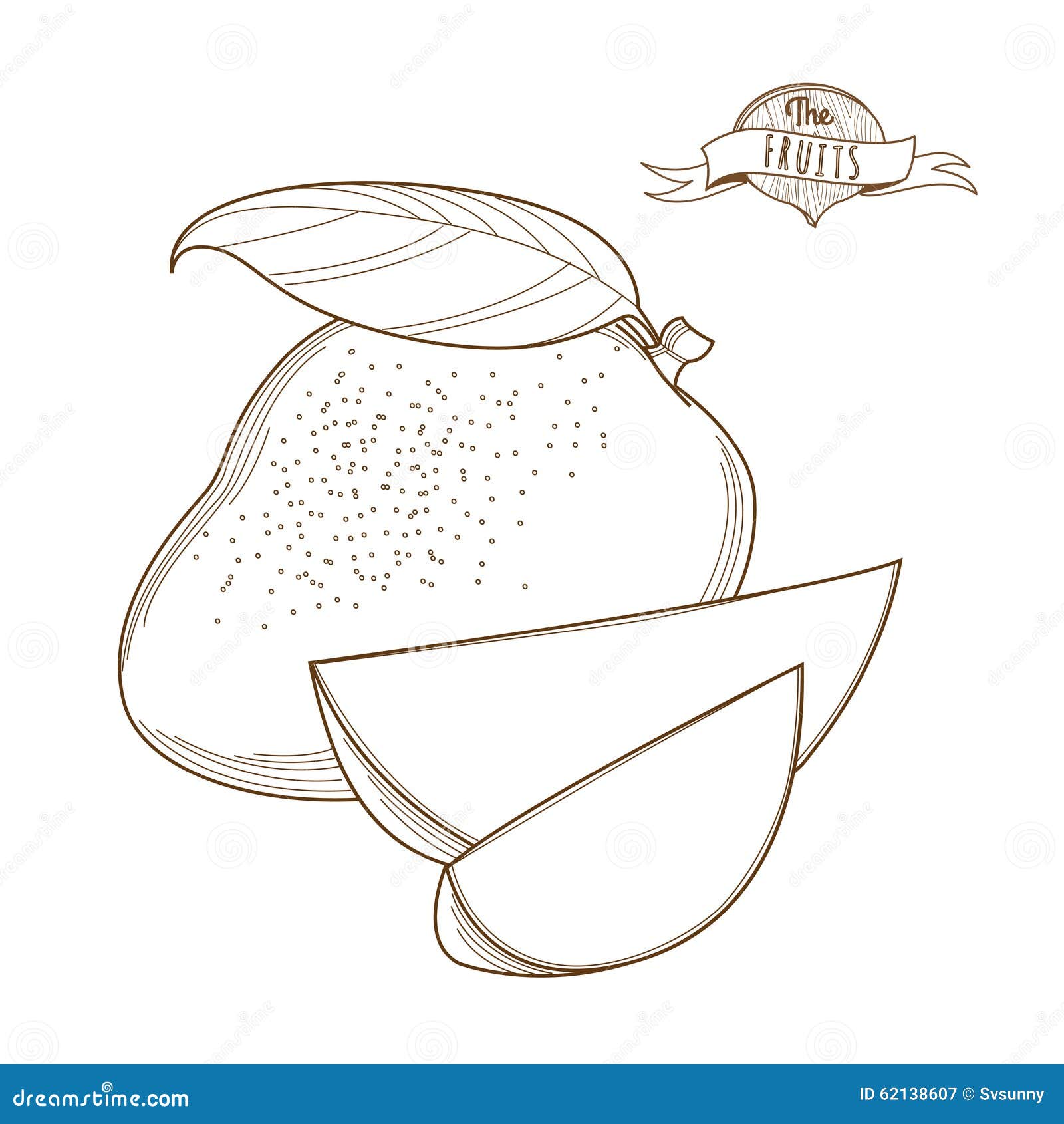 Outline Hand Drawn Mango, (flat Style, Thin Line). Single Mango, Part ...