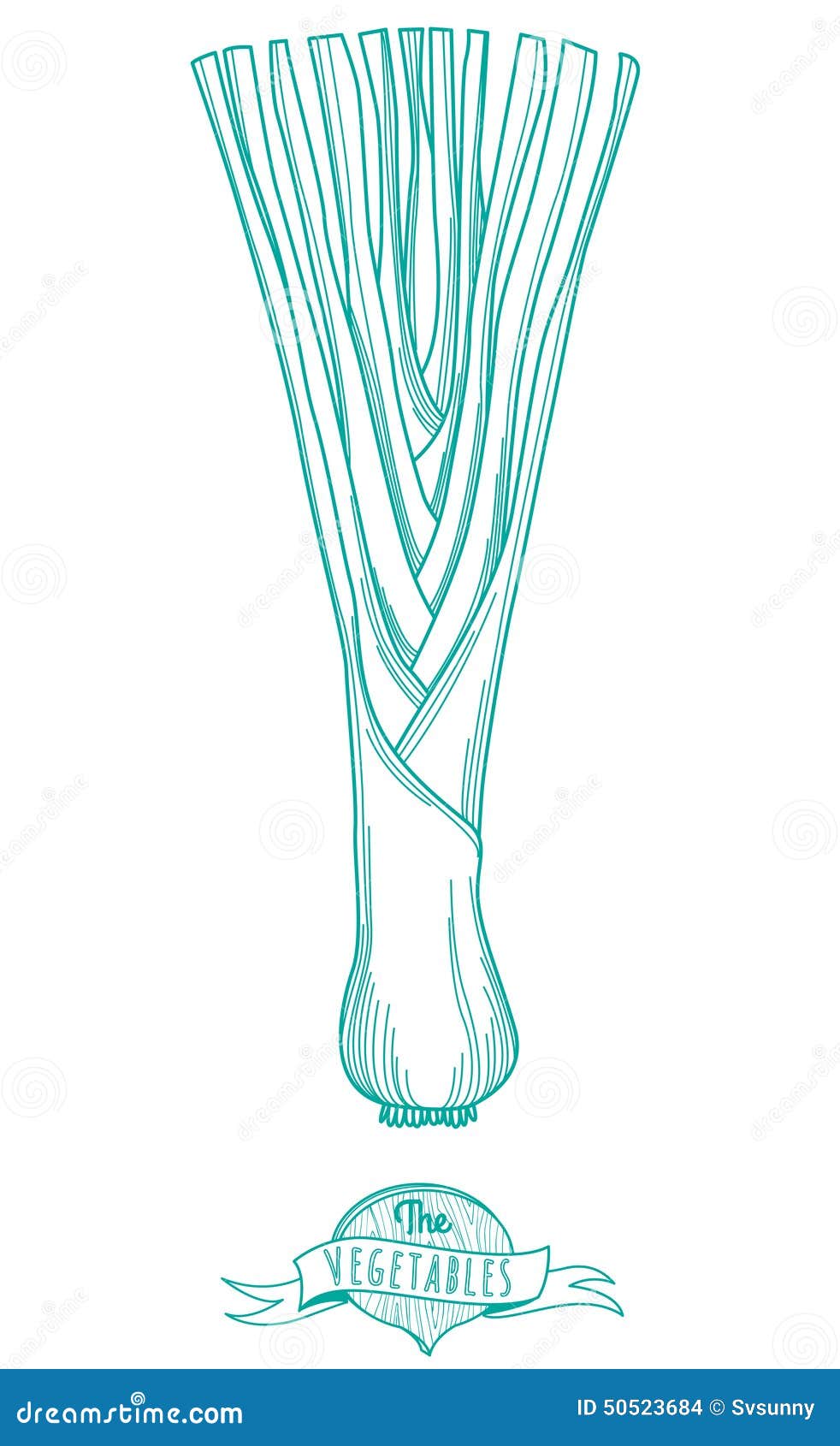 Outline Hand Drawn Sketch of Leek (flat Style, Thin Line) Stock Vector ...
