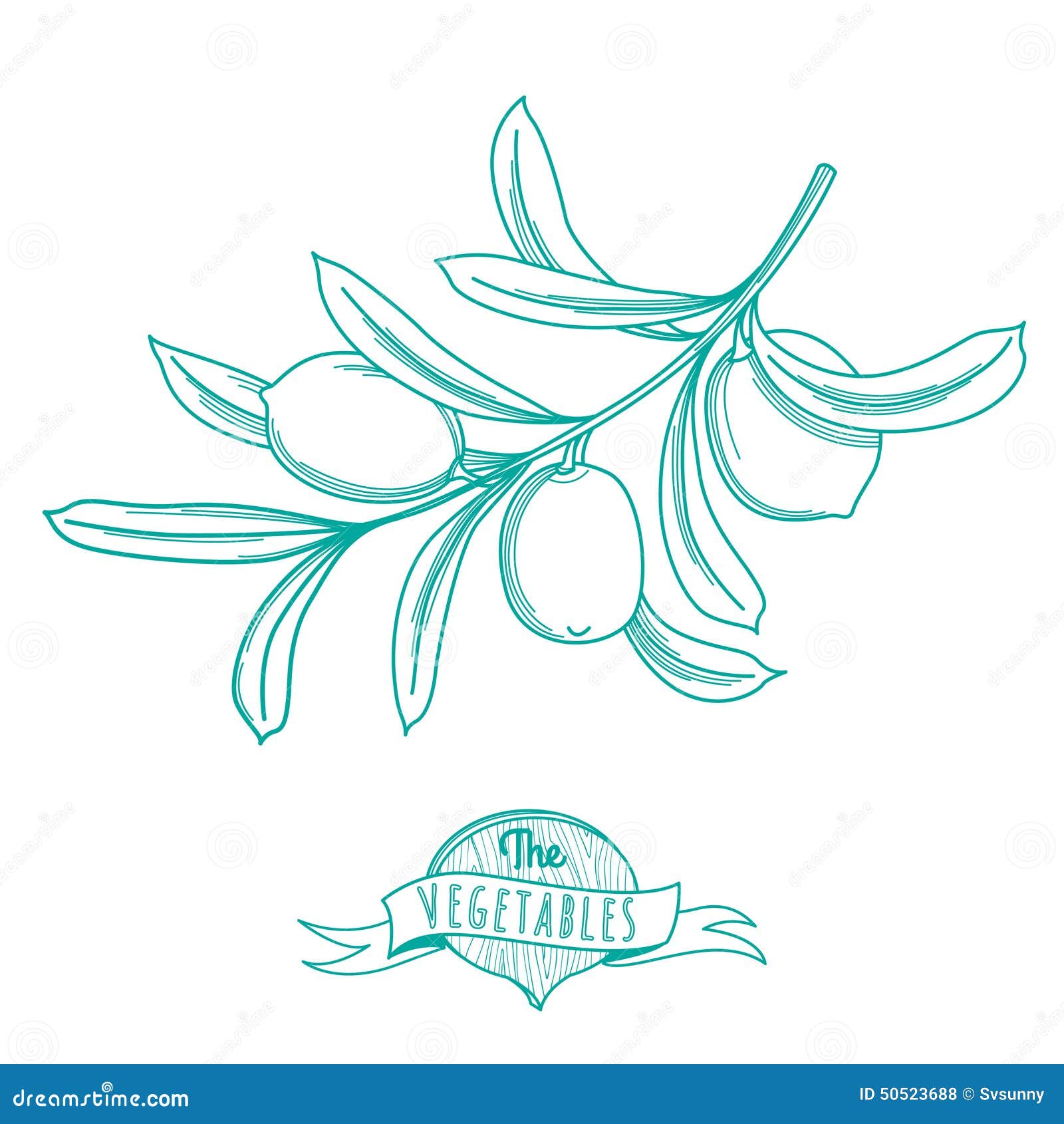 Outline Hand Drawn Sketch of Olive (flat Style, Thin Line) Stock Vector ...